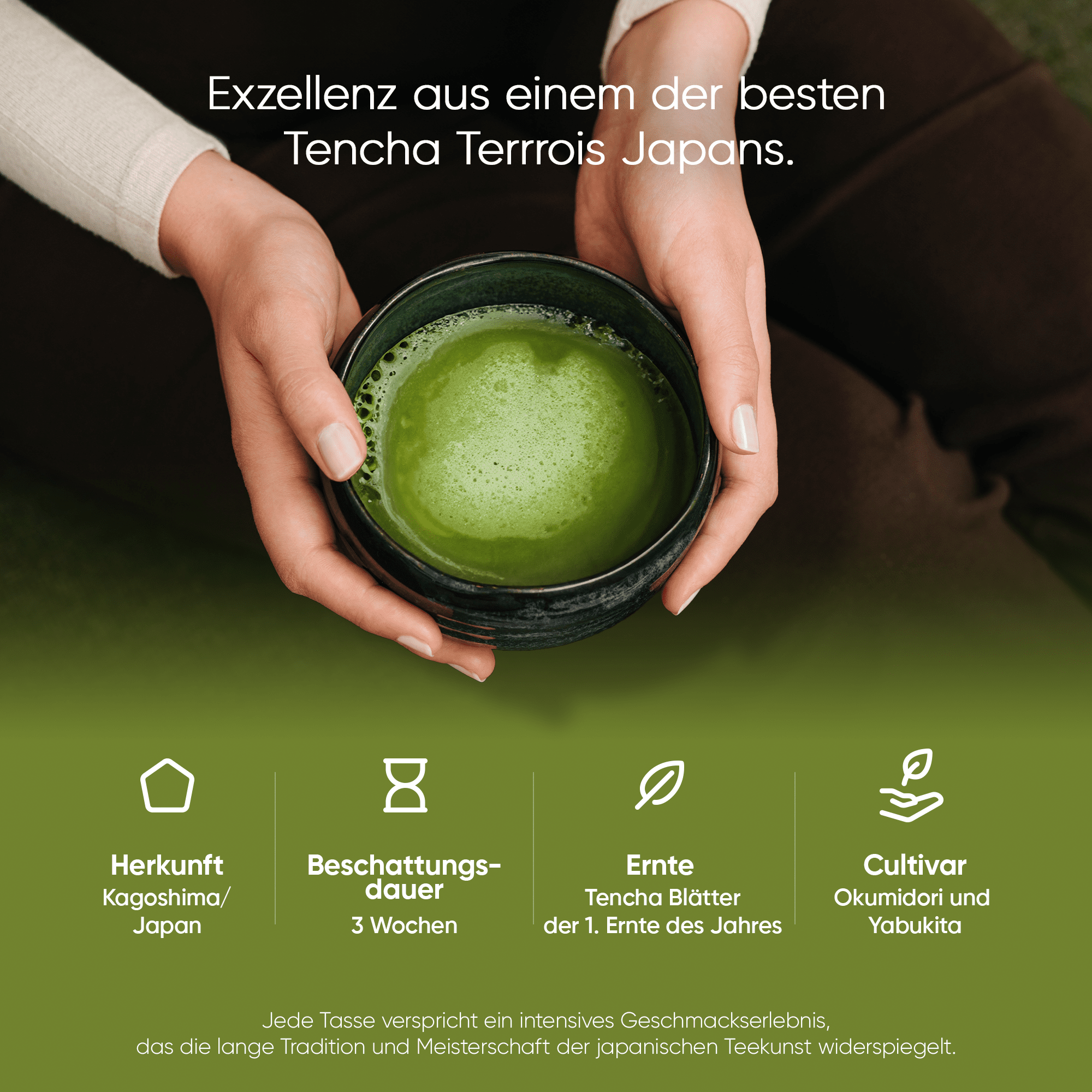 Bene Naturalproducts | KAIZEN Ichiban Organic Matcha 30g – Buy High ...